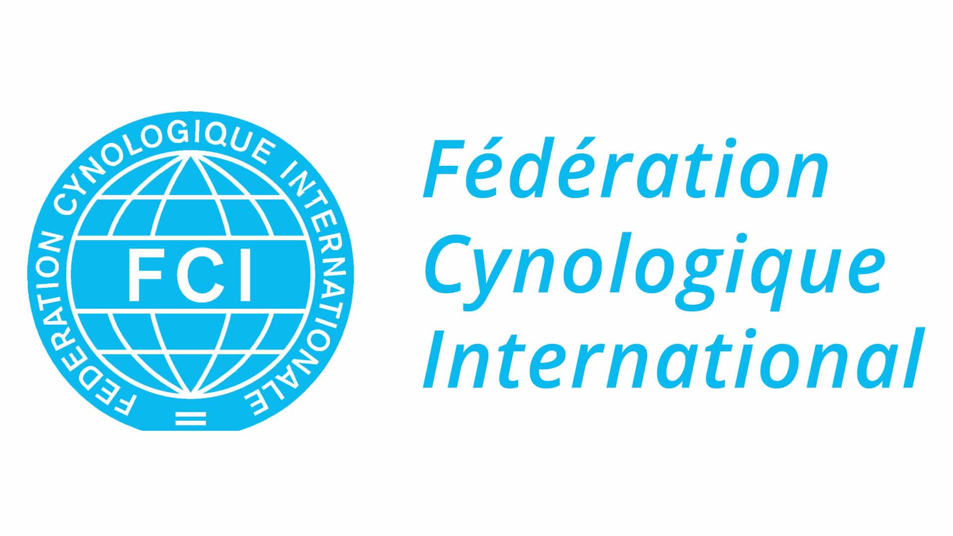 What Is FCI NewDoggy
