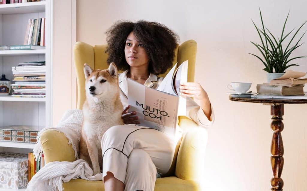 A Guide to Life with your Dog during Quarantine | NewDoggy.com