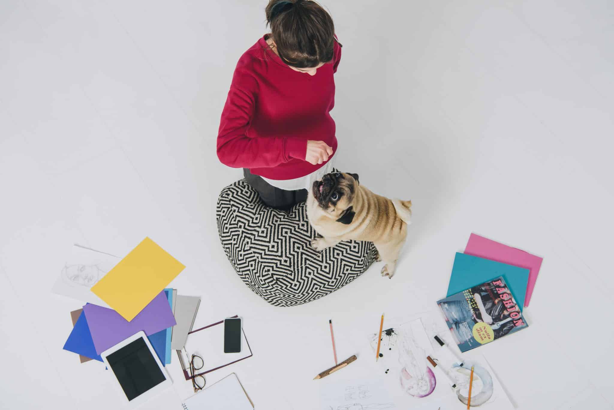 Best Dogs for the Office and Workplace | NewDoggy.com